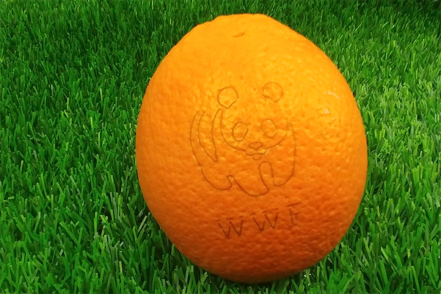 Laser Food registers in Europe the brand 'Natural Branding' to refer to ...